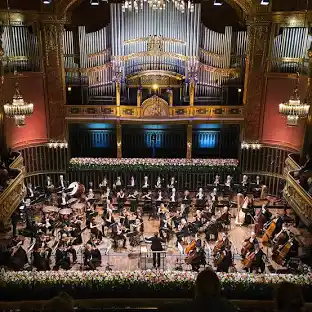 Hungarian Radio Symphony Orchestra (Susan Elkin reviews) - Susan Elkin